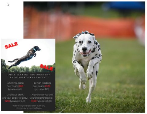 2025 Fast Cat | Erie Kennel Club | 9457 Wattsburg Road, Erie, PA 16509