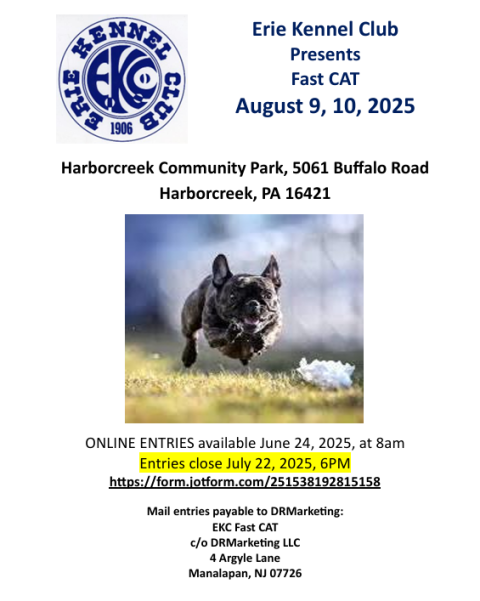 2025 Fast Cat | Erie Kennel Club | 9457 Wattsburg Road, Erie, PA 16509